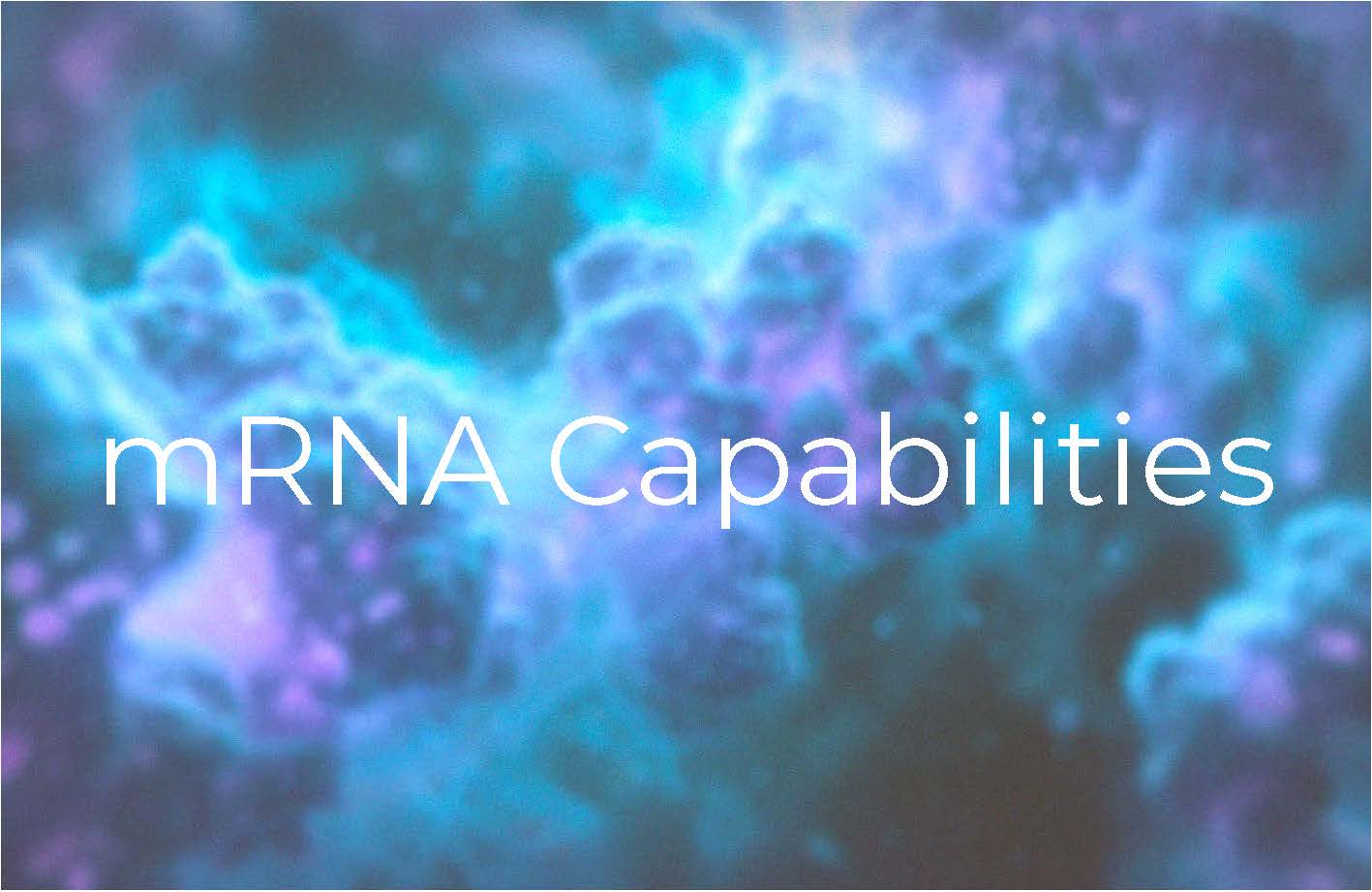 mRNA capabilities - Caszyme