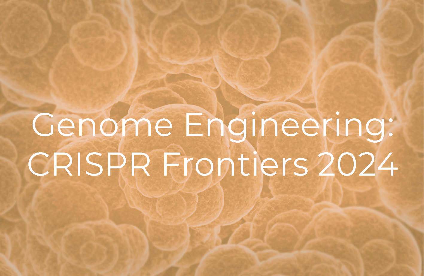 Caszyme at Genome Engineering: CRISPR Frontiers 2024 - Caszyme